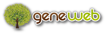 GeneWeb : un logiciel de #généalogie, libre et illimité – Genea-Logiques